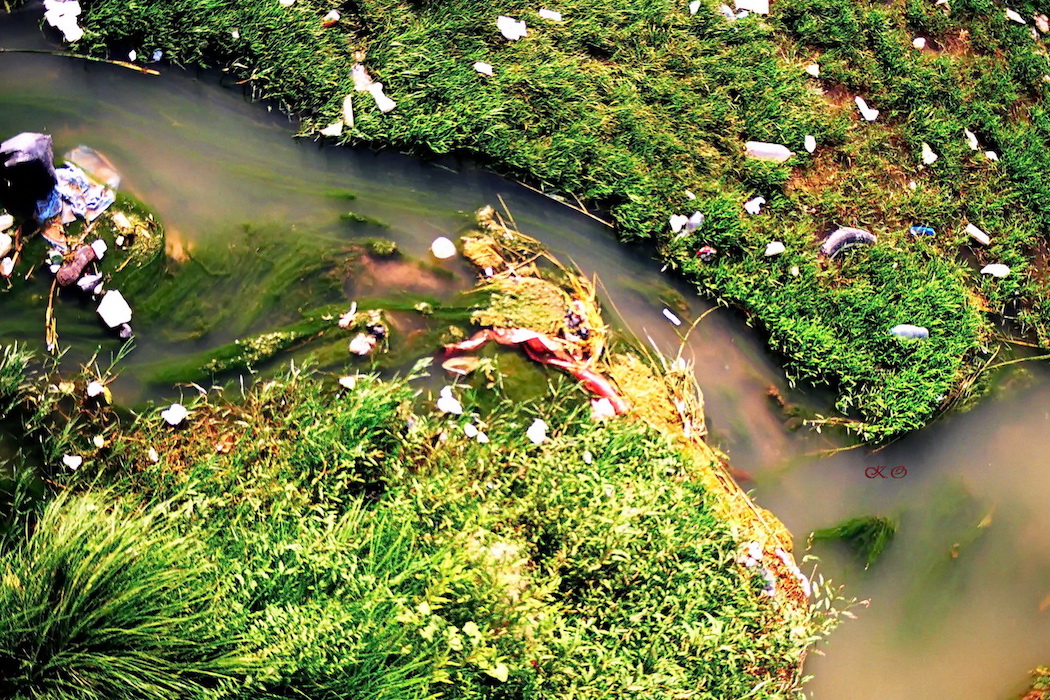 Environmental damage monitoring – Kamal Oghly Photography